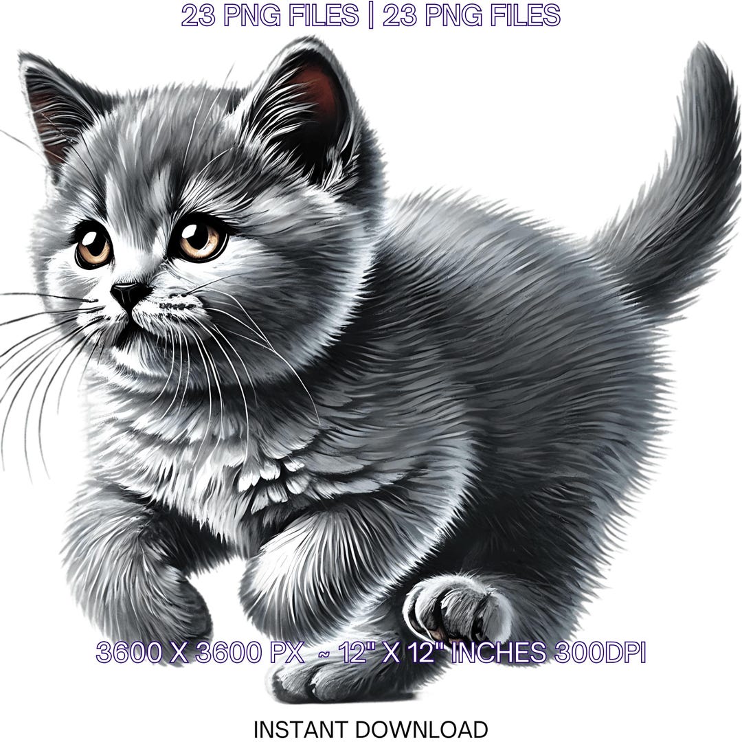23 British Shorthair Kitten PNG Clipart, Watercolor Pet Card Making ...