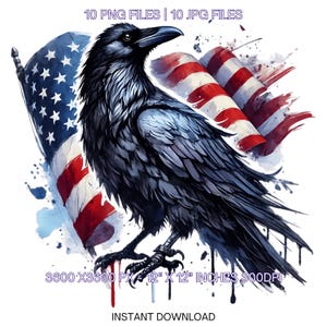 RAVEN Flag PNG | 10 Patriotic USA Crow Flag Clipart | Bird Raven ...
