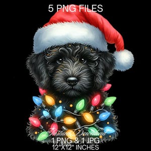 Christmas Golden Doodle Puppy PNG Clipart | 4 Christmas Lights Santa ...