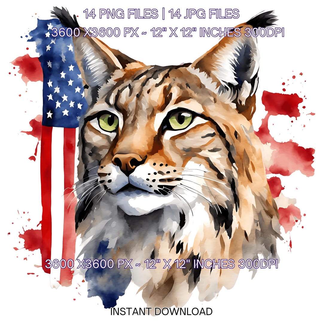 LYNX Flag PNG | 14 Patriotic USA Lynx Flag Clipart | Wildland Lynx ...