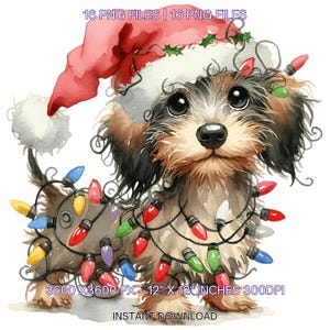 16 Cute Dachshund Puppy Dog With Santa Hat and Christmas Lights Clip ...