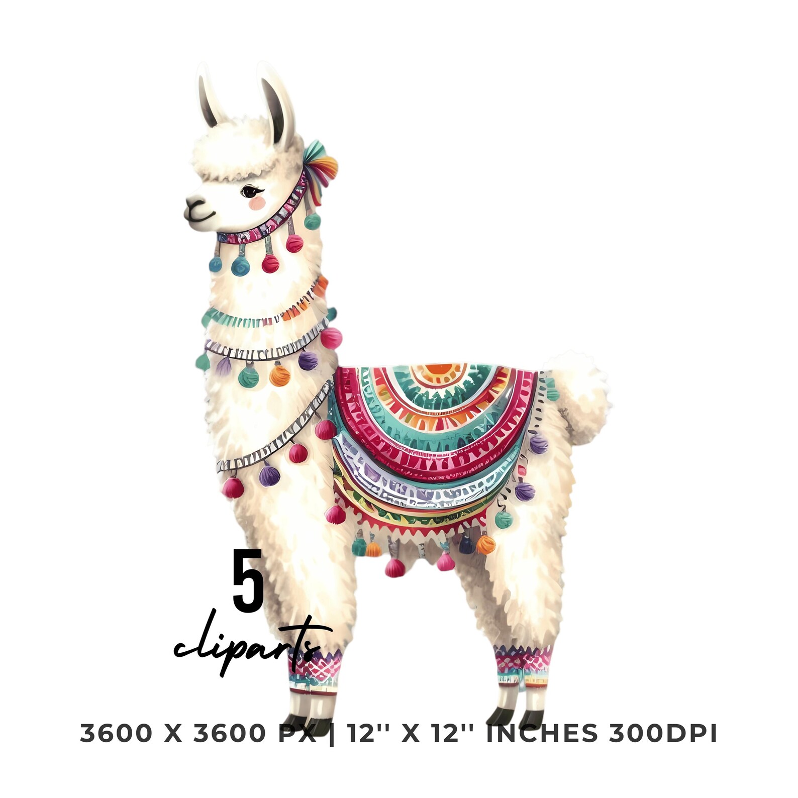 Watercolor Llama Clipart PNG: Pom-pom Blanket, Cacti (digital Download ...