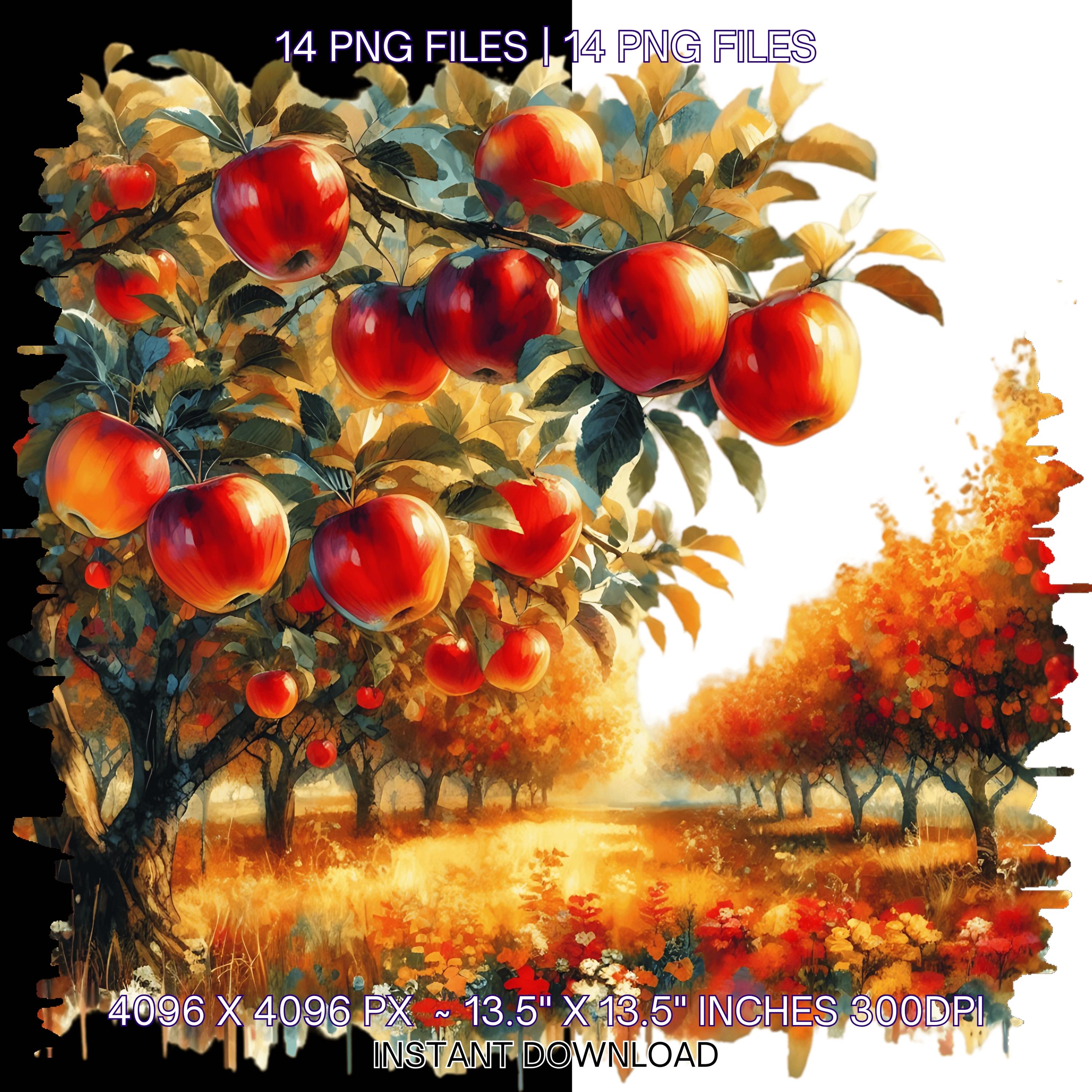 Fall Apple Tree Clipart | PNG Apple Orchard Illustrations - Etsy