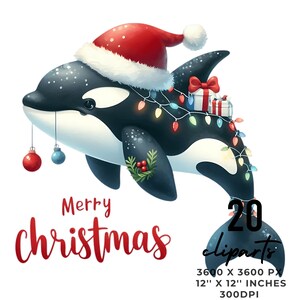 Christmas Orca PNG Clipart | Santa Whale, Ocean Animals (digital ...