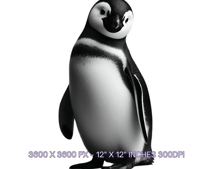 Digital Clip Art, Cute Penguins Clipart (instant Download, PNG File ...