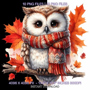 10 Cute Fall Owl Clipart PNG Owl Fall Clipart Autumn Owl Bird Clipart ...