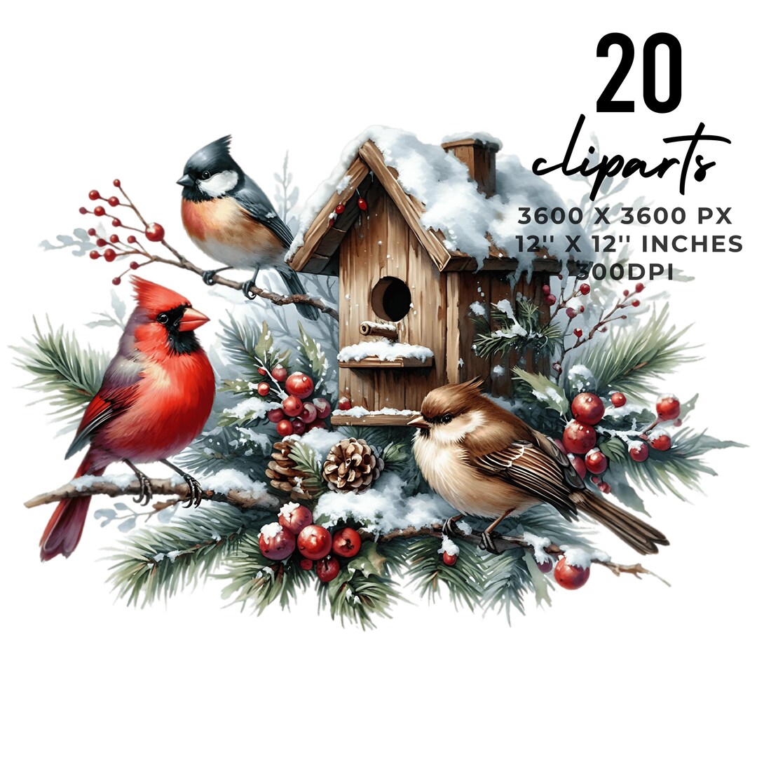 19 Trio Christmas Birds Clipart PNG, Printable Watercolor Papercraft ...