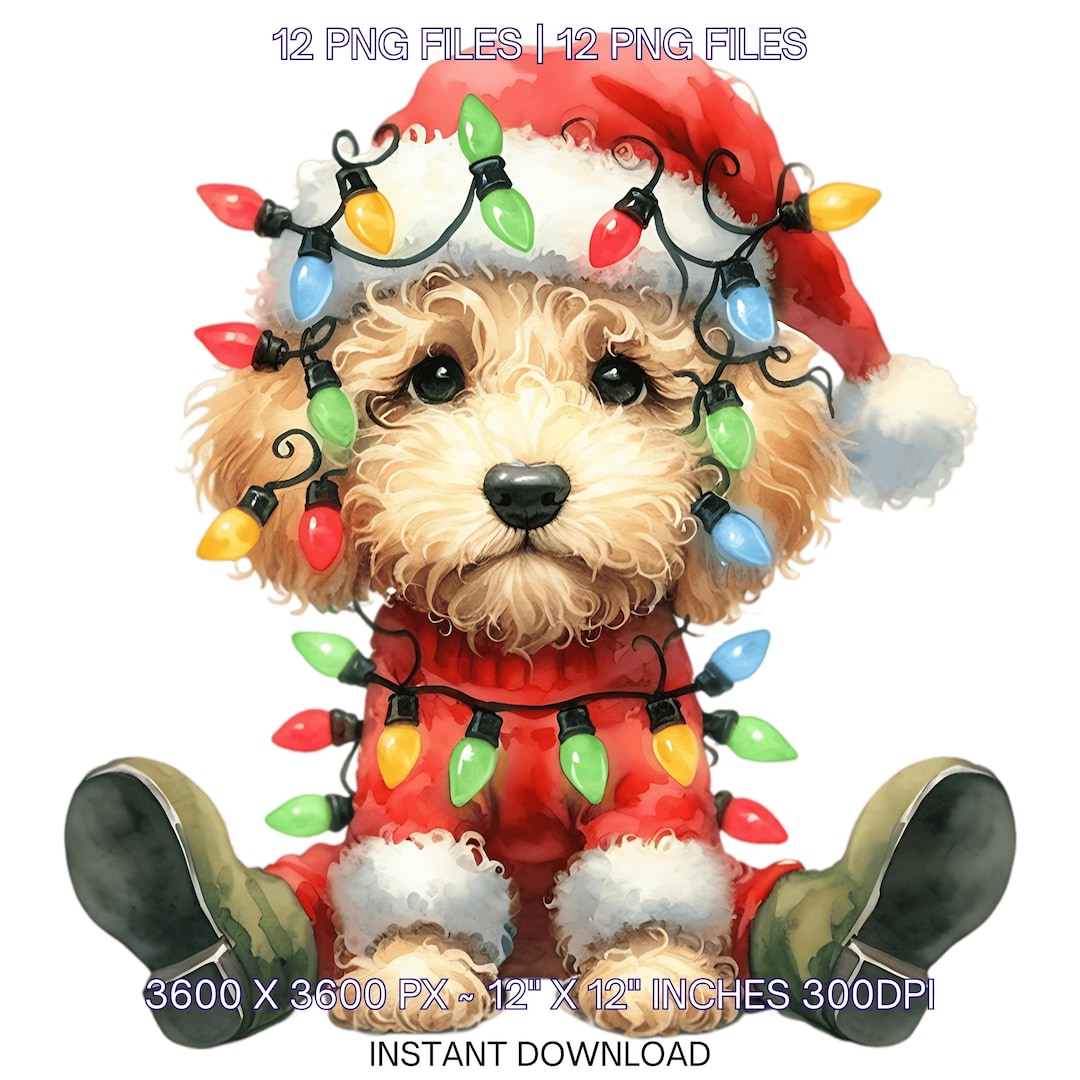 12 Cute Goldendoodle Puppy Dog With Santa Suit, Hat, and Christmas ...