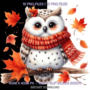 10 Cute Fall Owl Clipart PNG Owl Fall Clipart Autumn Owl Bird Clipart ...