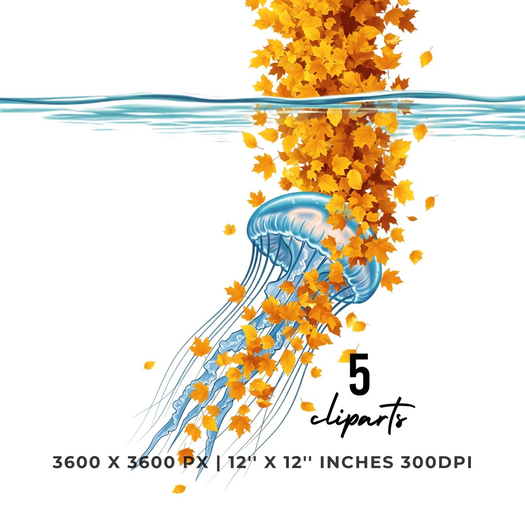 Autumn Jellyfish Clipart: Fall Ocean PNG JPG Art (digital Download ...