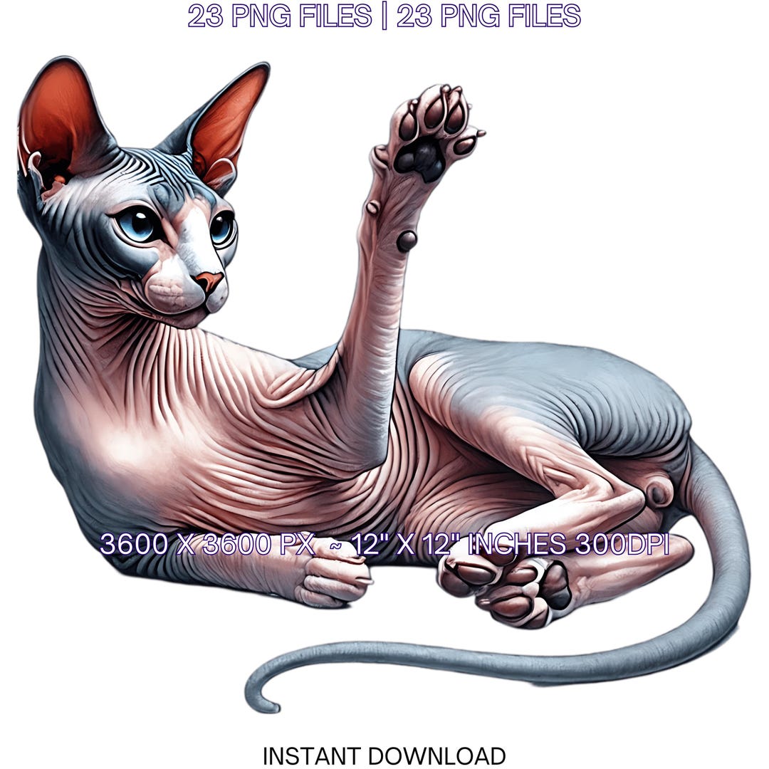 23 Sphynx Cat PNG Clipart, Watercolor Cats for Pets for Card Making ...