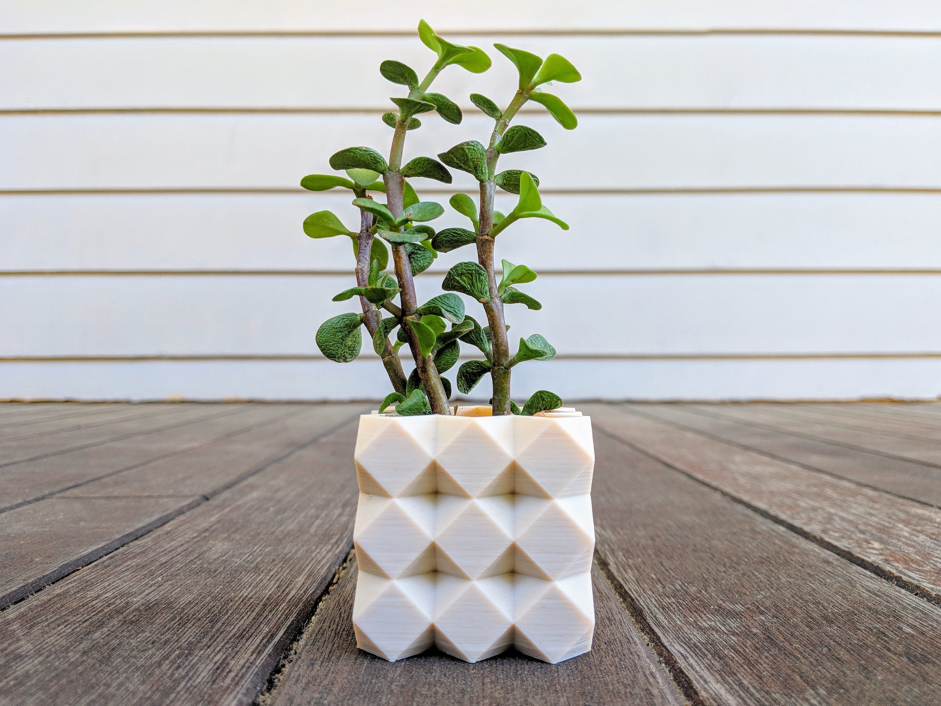 DIAMOND GRID 3D Printed Planter Succulent Mini Planter | Etsy