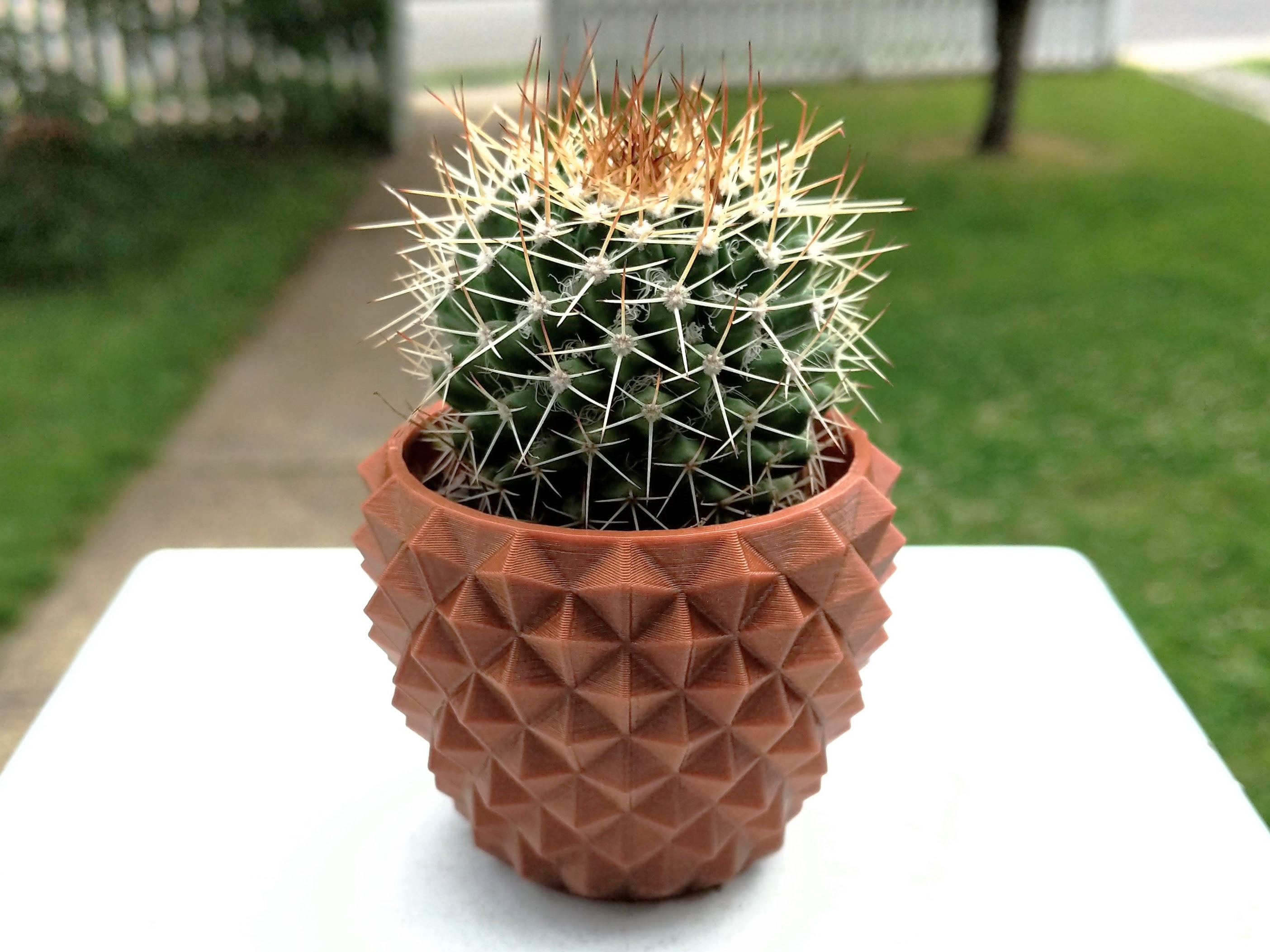 Spiky 3D Printed Planter Succulent / Cactus Geometric - Etsy