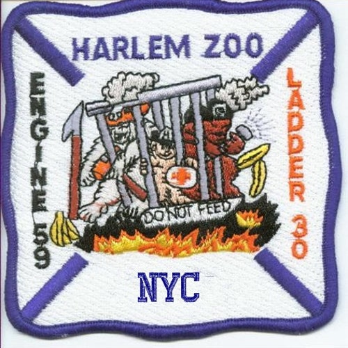 New York City Fire Department Tower Ladder 131 Engine 279 - Etsy