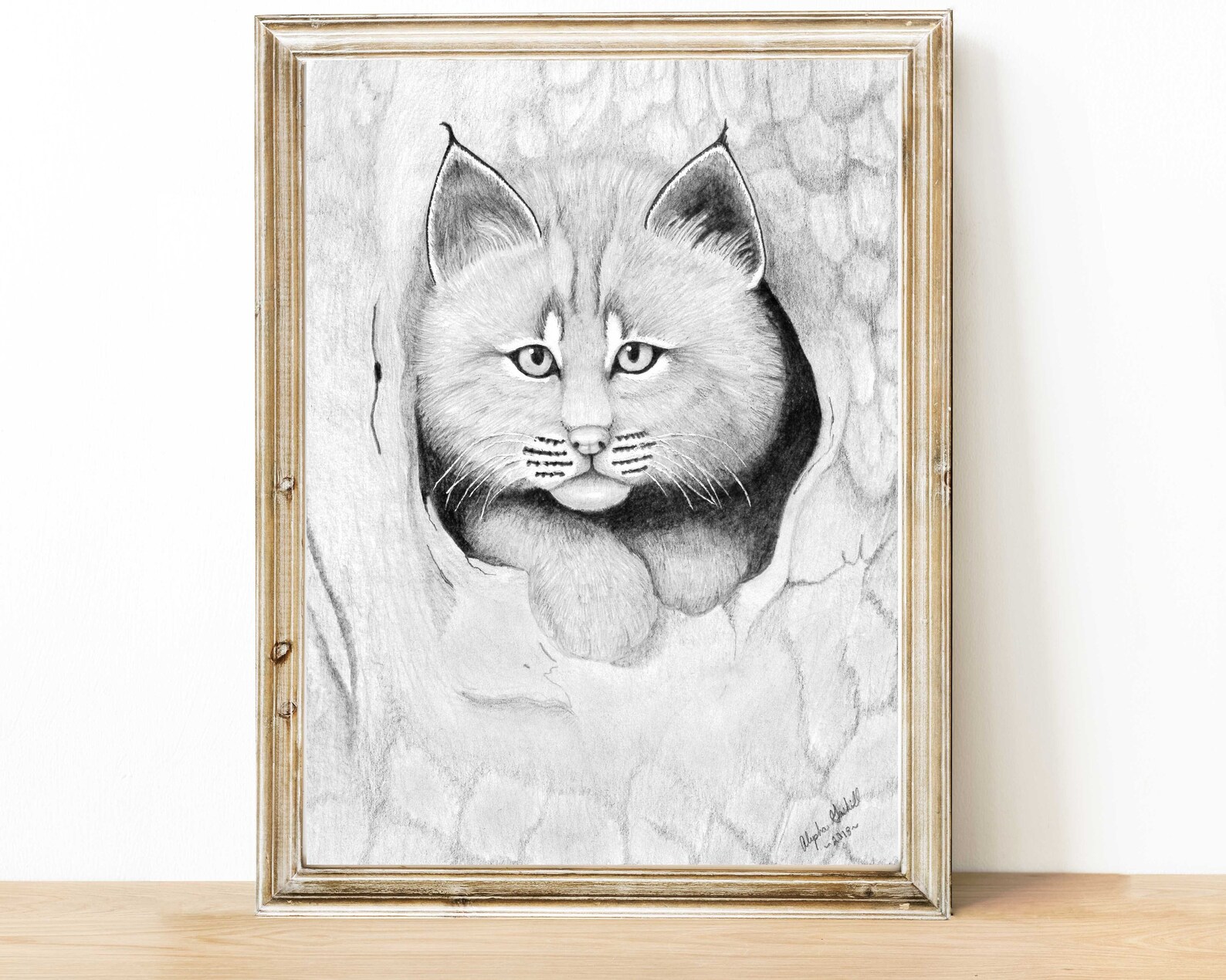 Baby Bobcat Drawing, Art Printables, Digital Download Art, Bobcat Fine ...