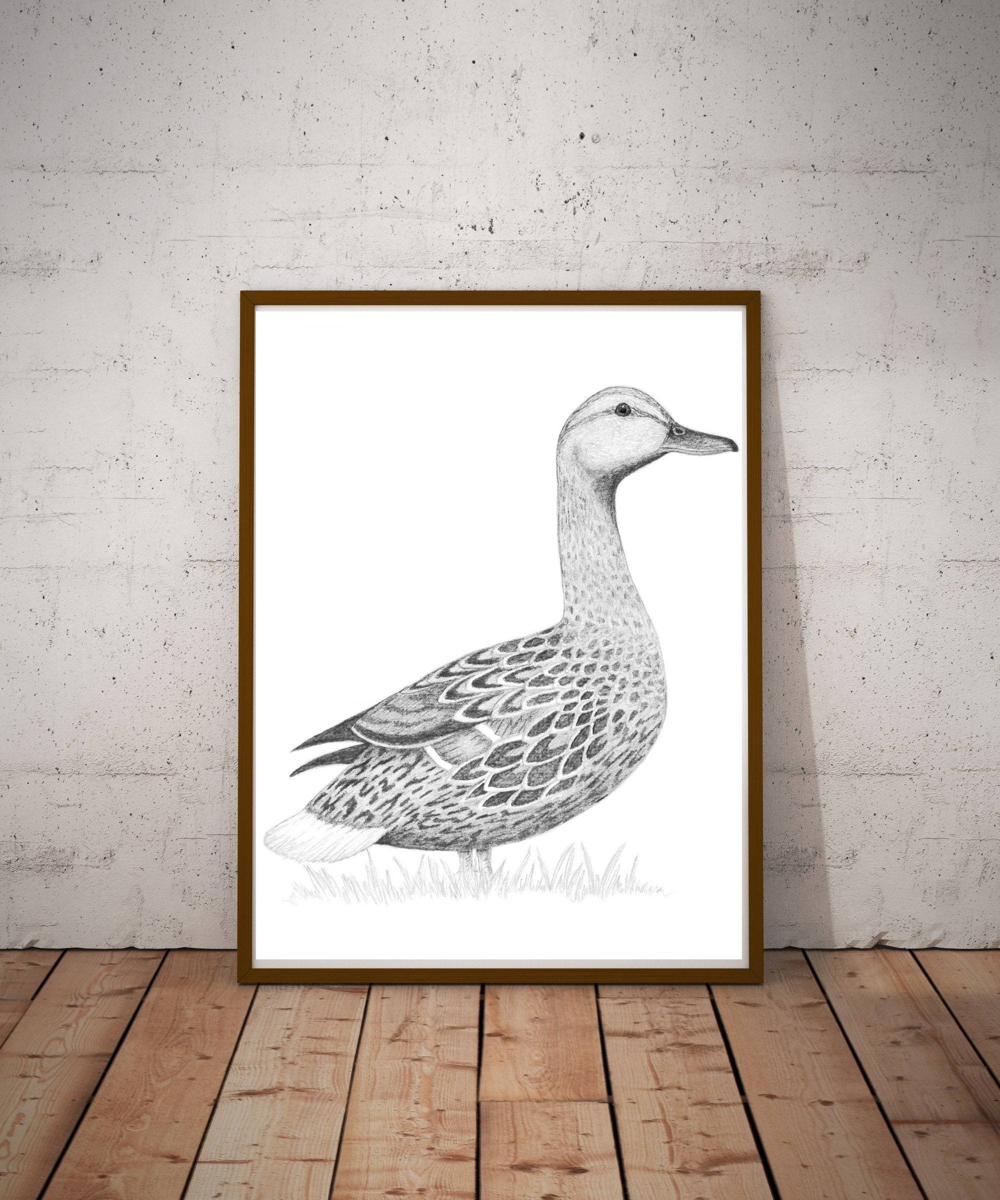 Female Mallard Duck Pencil Drawing for Digital Download, Waterfowl ...