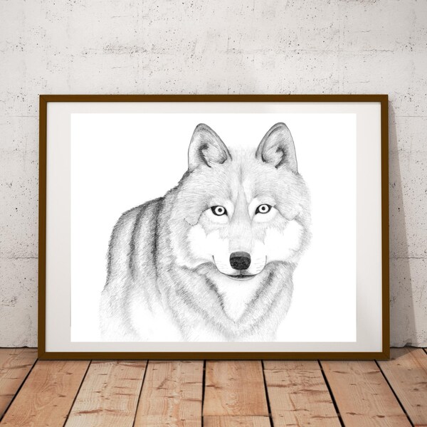 Timber Wolf Drawing - Etsy
