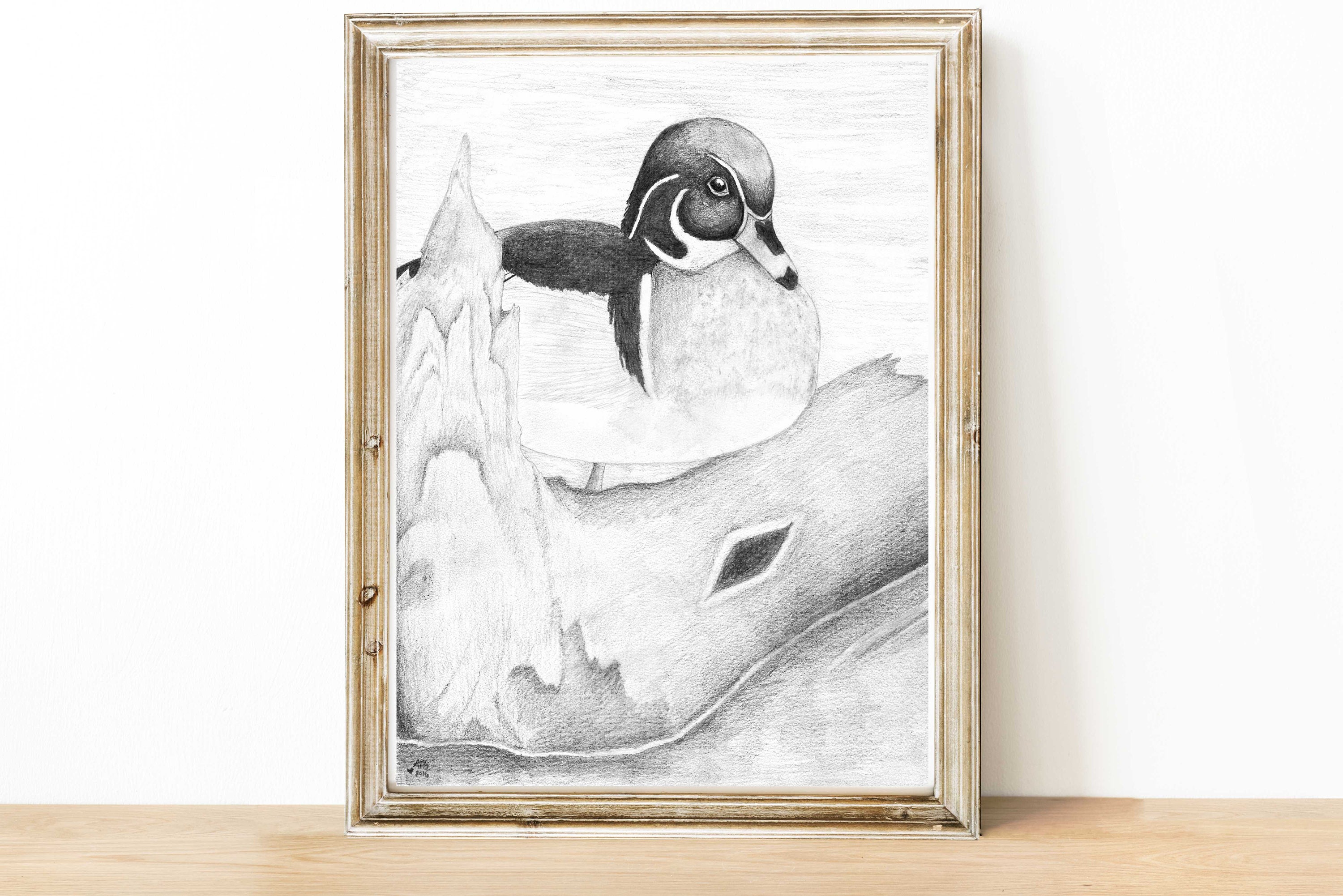 Duck Art Printable, Wood Duck Drawing, Pencil Art Digital Download - Etsy