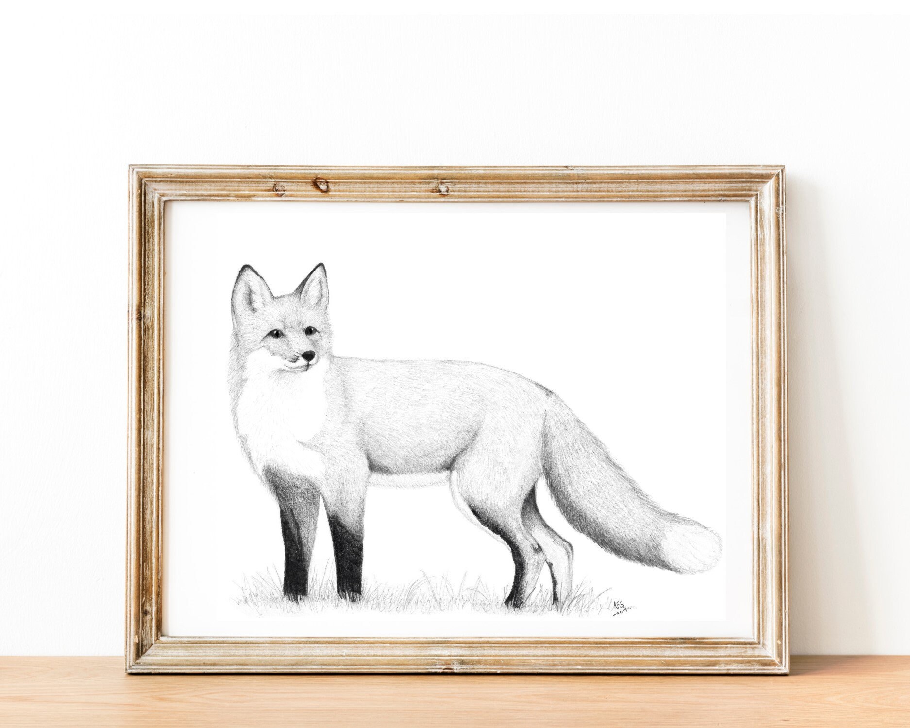 Red Fox Drawing, Digital Download, Pencil Sketch, Black and White ...
