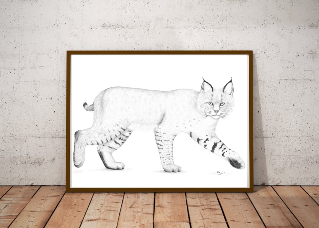 Bobcat Pencil Drawing Digital Download, Printable Wall Art PDF and JPEG ...