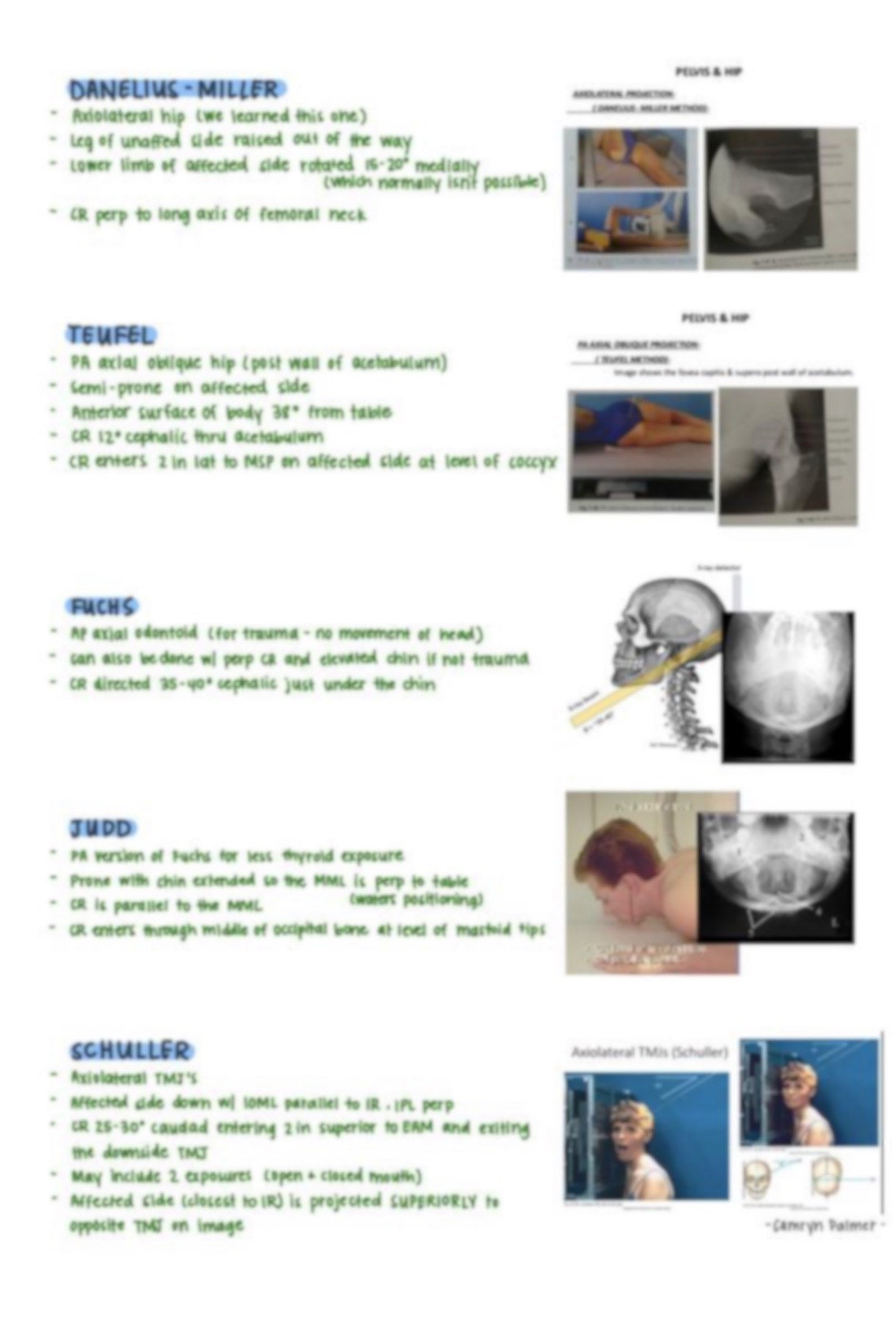 Rad Tech Registry Review BUNDLE - Digital Download PDF - Etsy