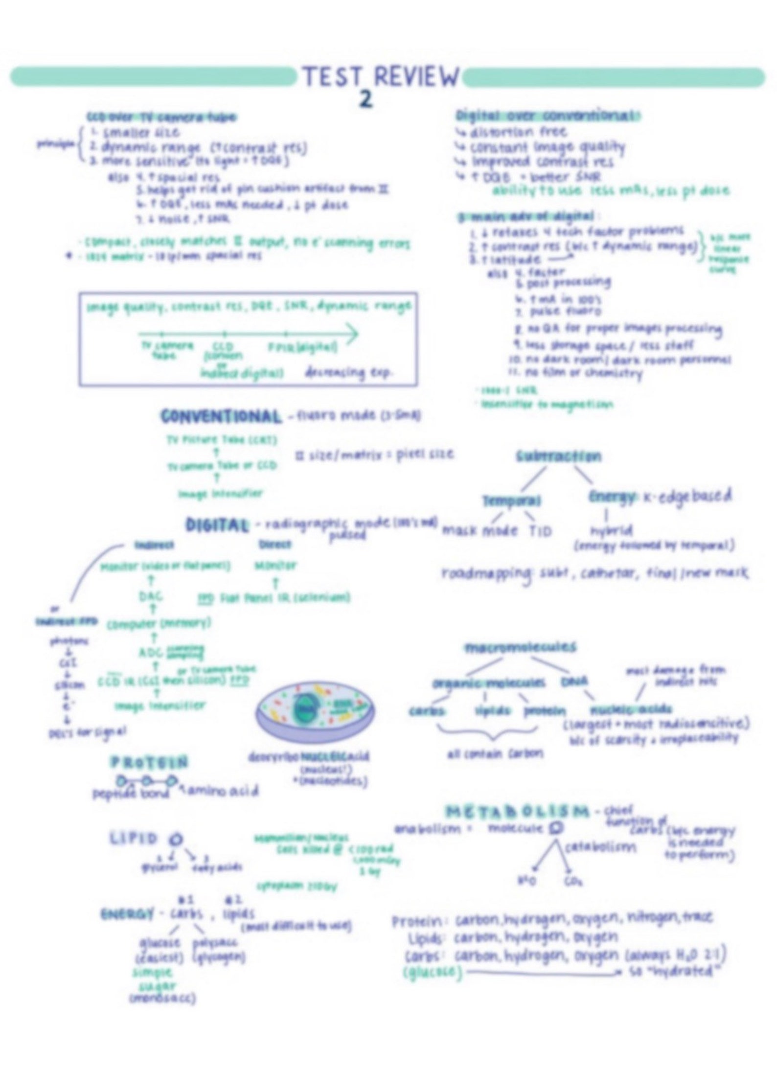 Rad Tech Physics 2 BUNDLE Review PDF - Digital Download - Radiology ...