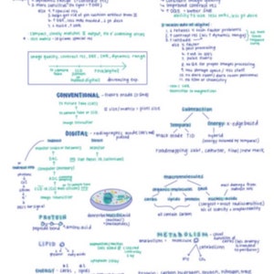 Rad Tech Physics 2 BUNDLE Review PDF - Digital Download - Radiology ...