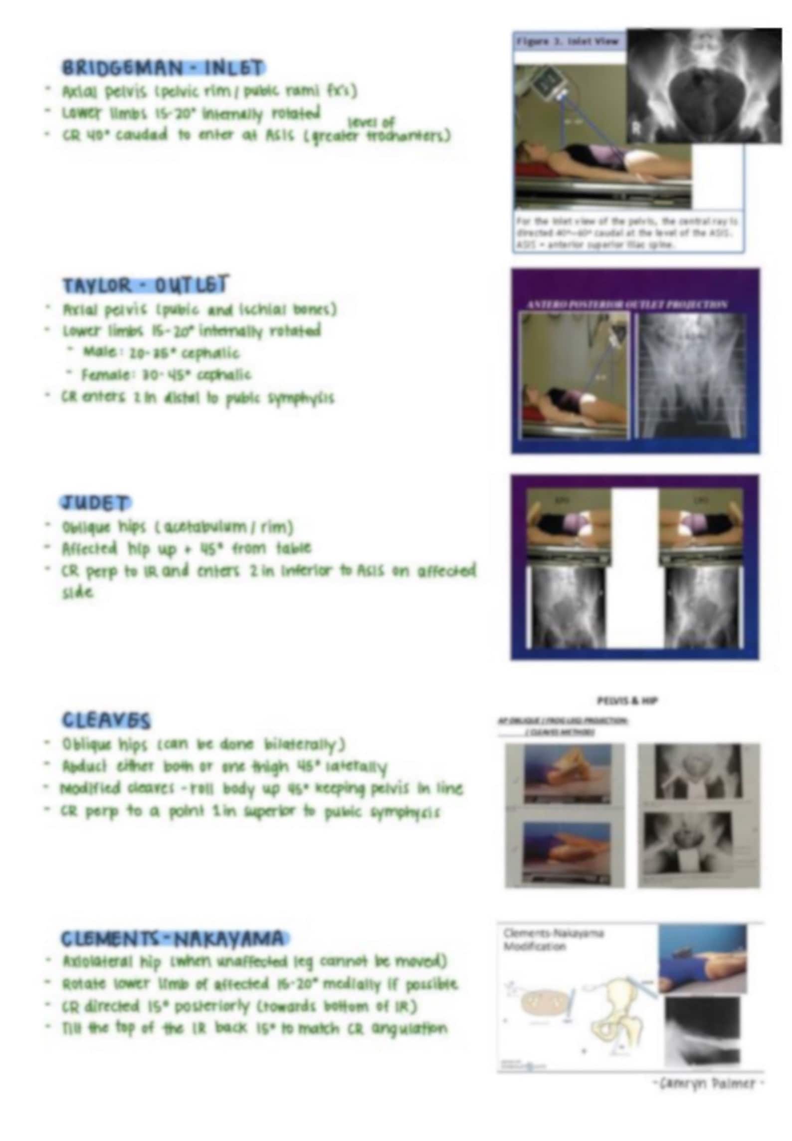 Rad Tech Registry Review BUNDLE - Digital Download PDF - Etsy