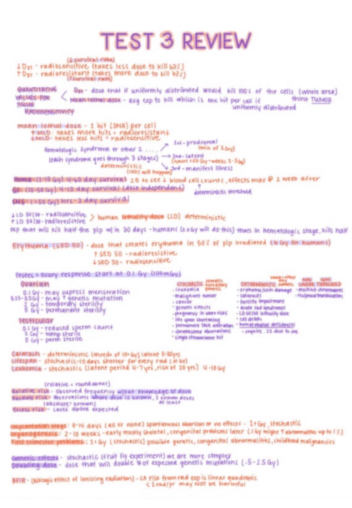 Rad Tech Physics 2 BUNDLE Review PDF - Digital Download - Radiology ...