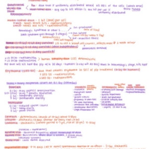 Rad Tech Physics 2 BUNDLE Review PDF - Digital Download - Radiology ...