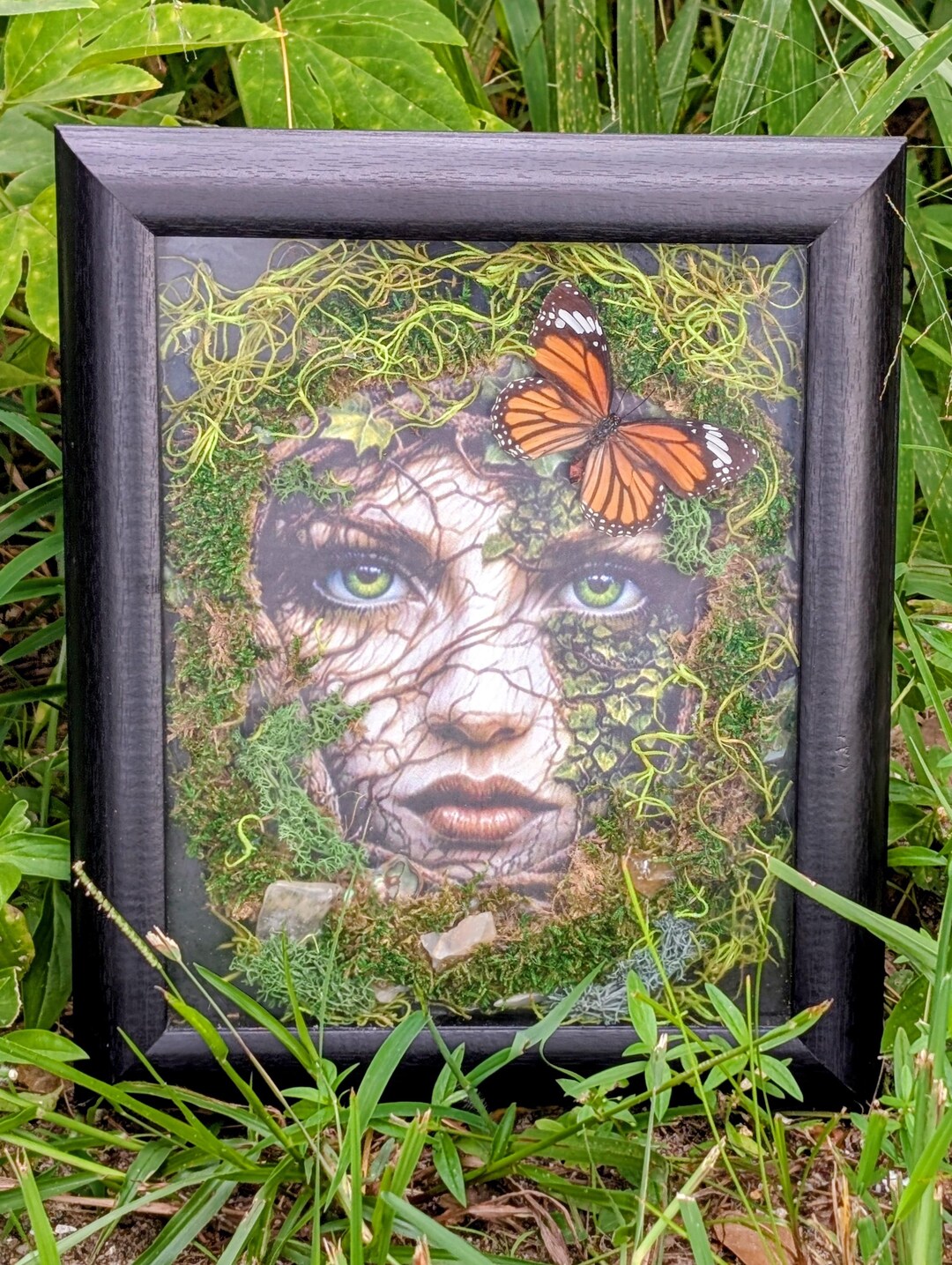 Forest Guardian Shadow Box | 8x10 Nature Art With Real Monarch ...