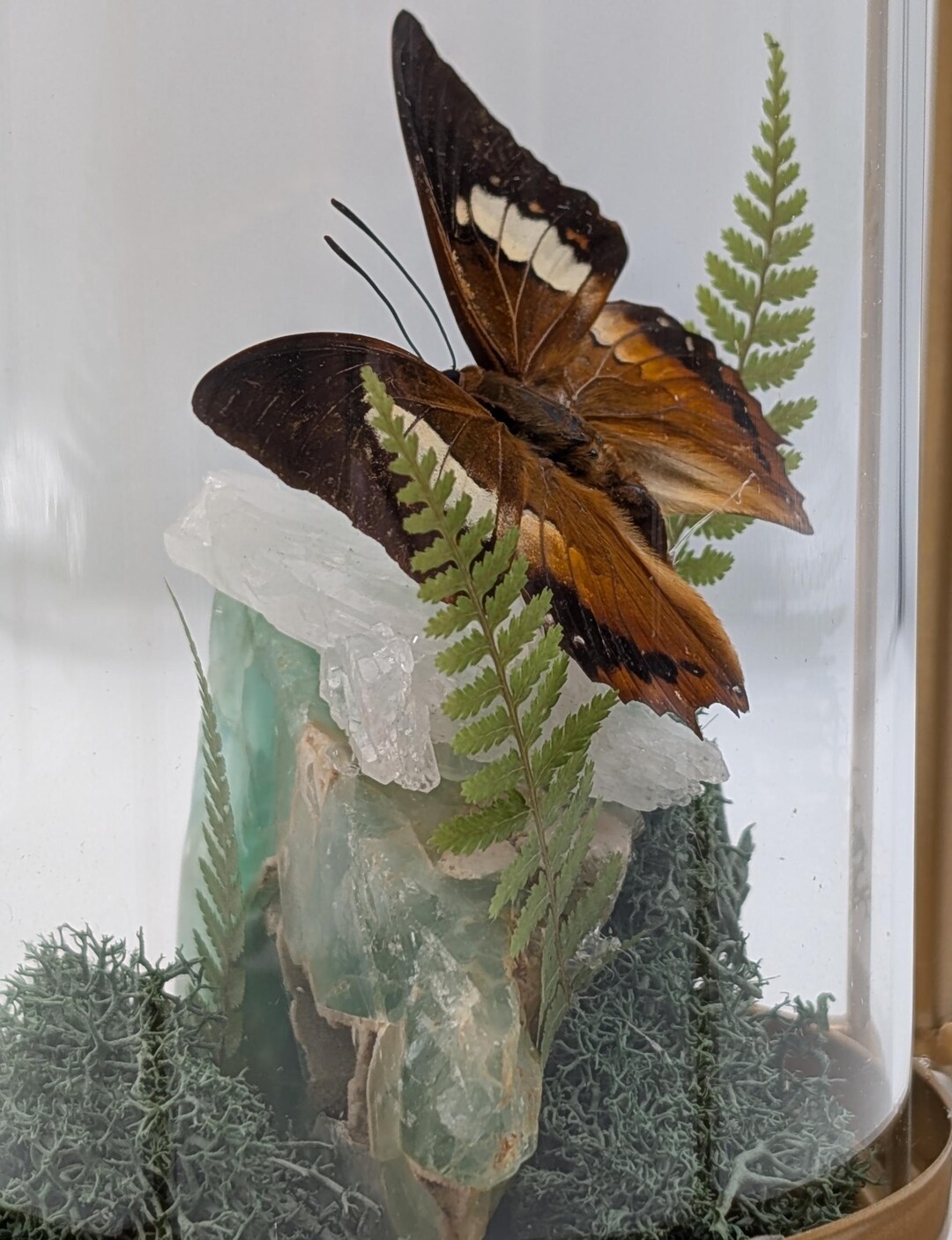 Tawny Rajah Butterfly in Gold Lantern With Green Fluorite and Quartz ...
