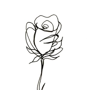 A5 Limited Edition Hand Drawn Print Fine Line Valentines Flower ...