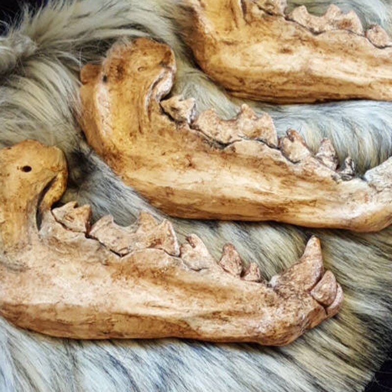 Wolf Cosplay - Etsy