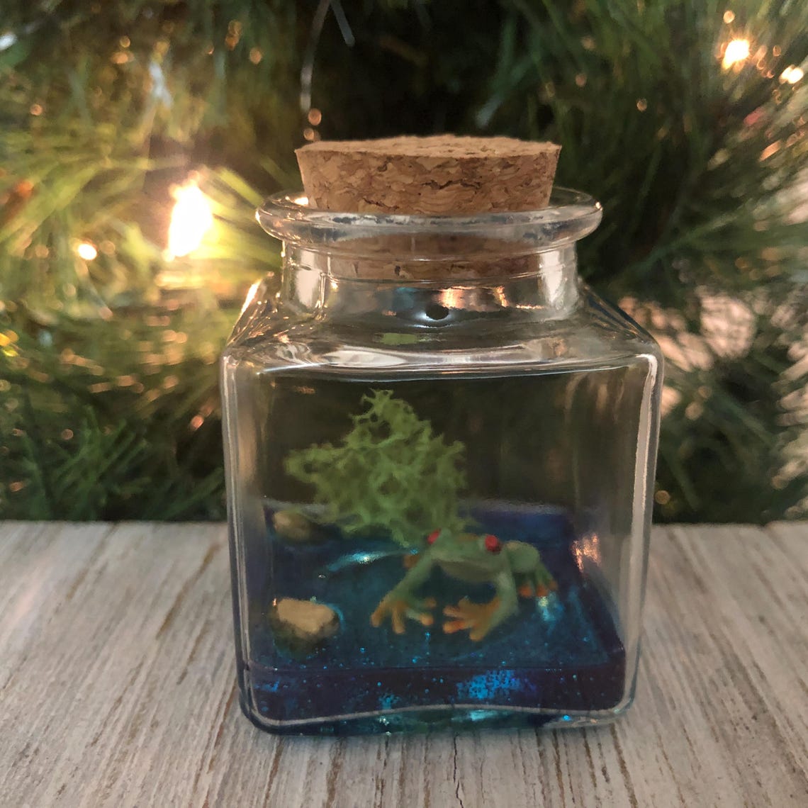 Mini Pet Frog Terrarium With Adoption Certificate Family Friend ...