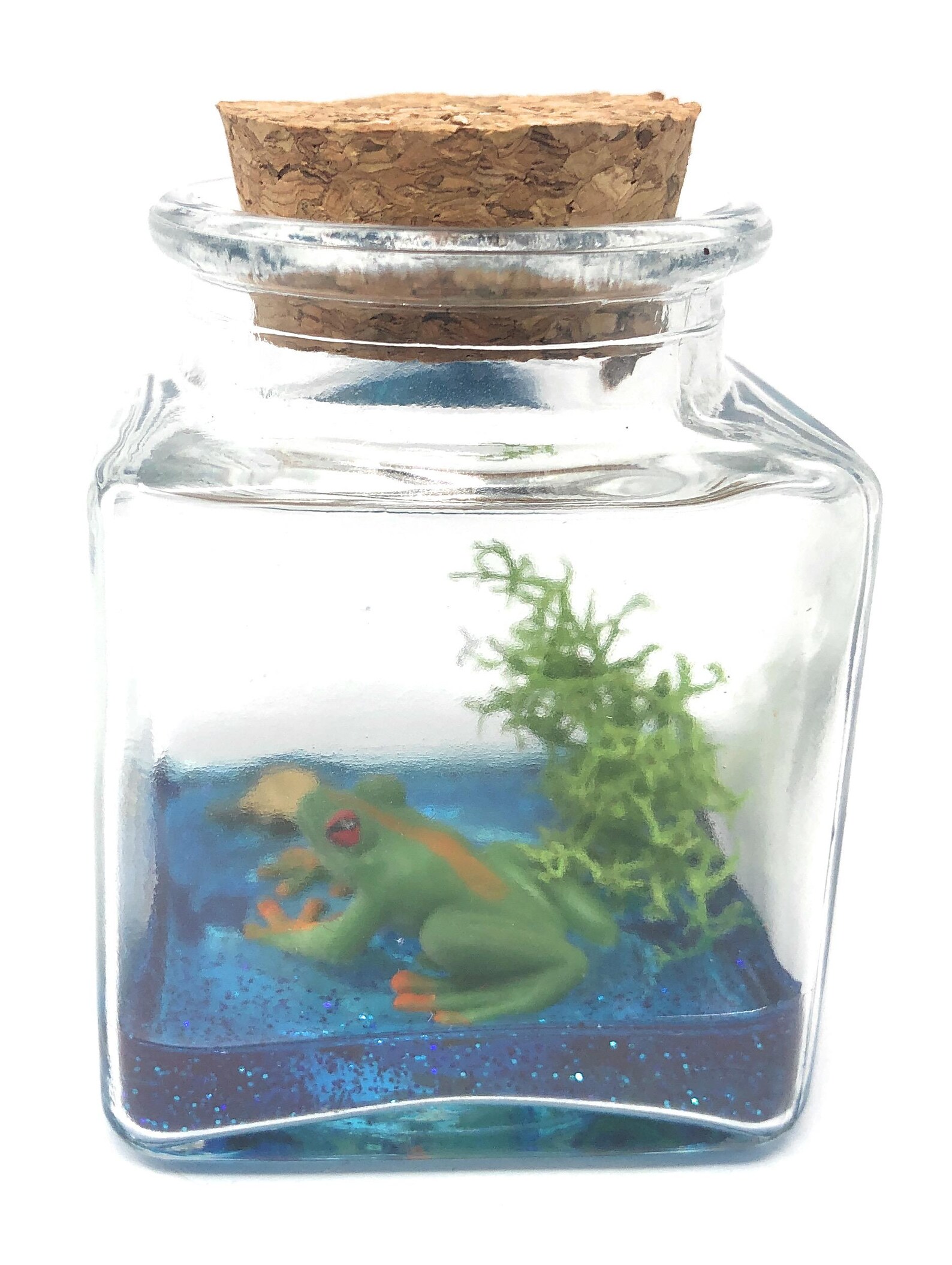 Mini Pet Frog Terrarium With Adoption Certificate Family Friend ...