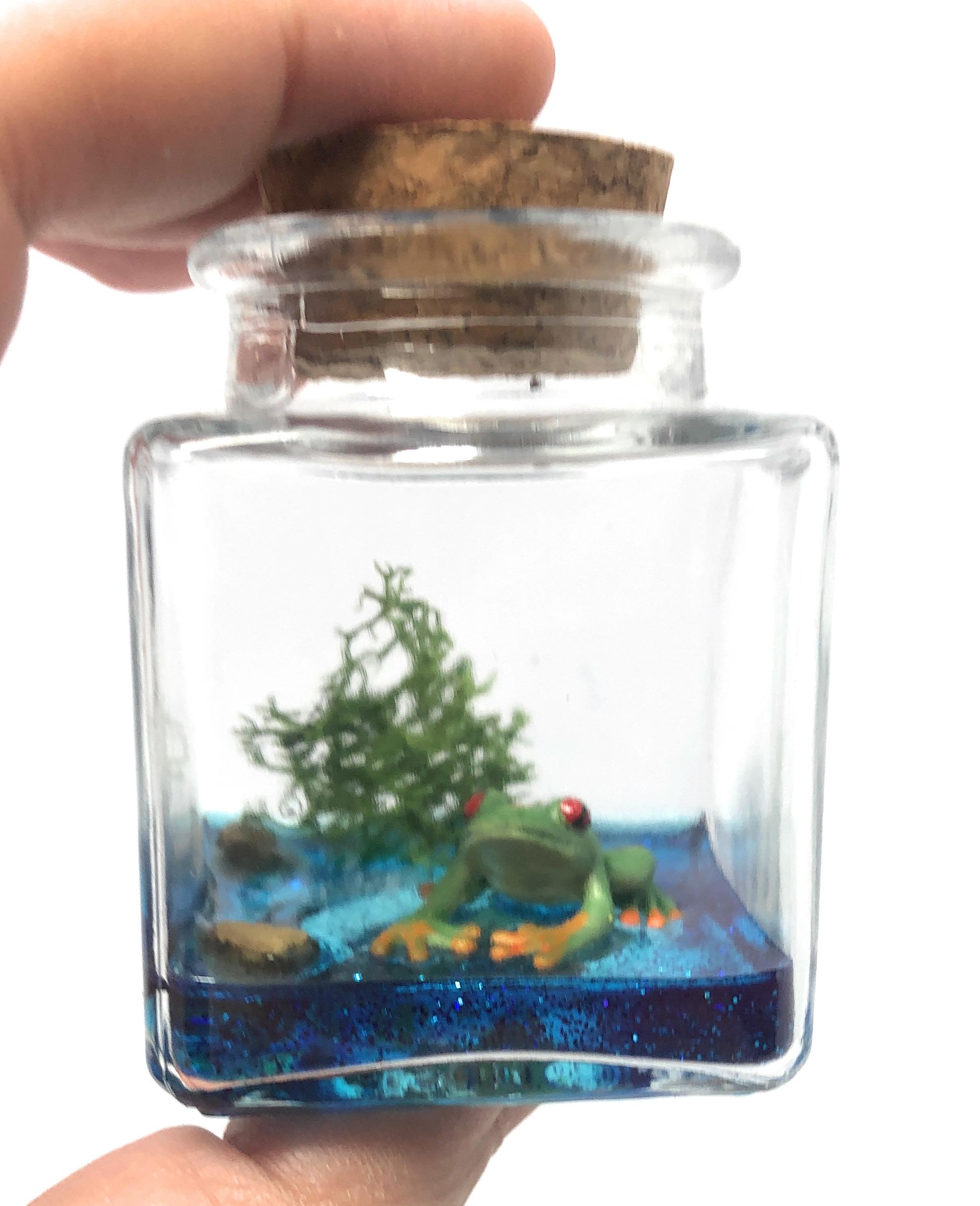 Mini Pet Frog Terrarium With Adoption Certificate Family Friend ...