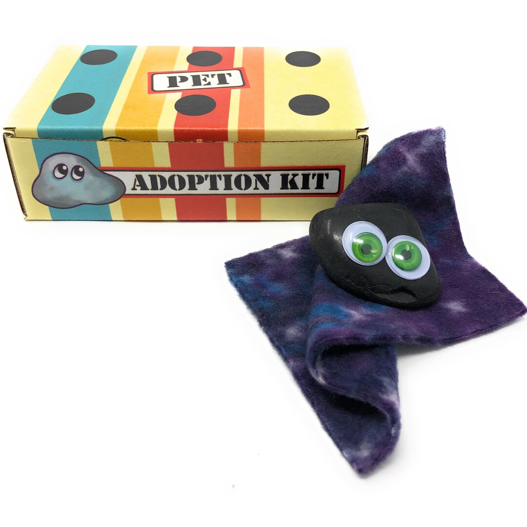 Rock Pet With Googly Wiggle Eyes Adoption Certificate and Rehoming Kit ...