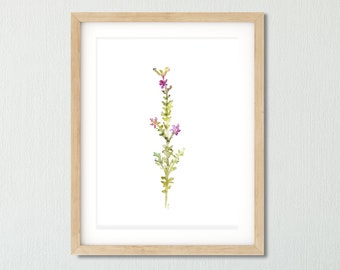 Eucalyptus Leaves Wall Decor, Rustic Illustration, Garden Art ...