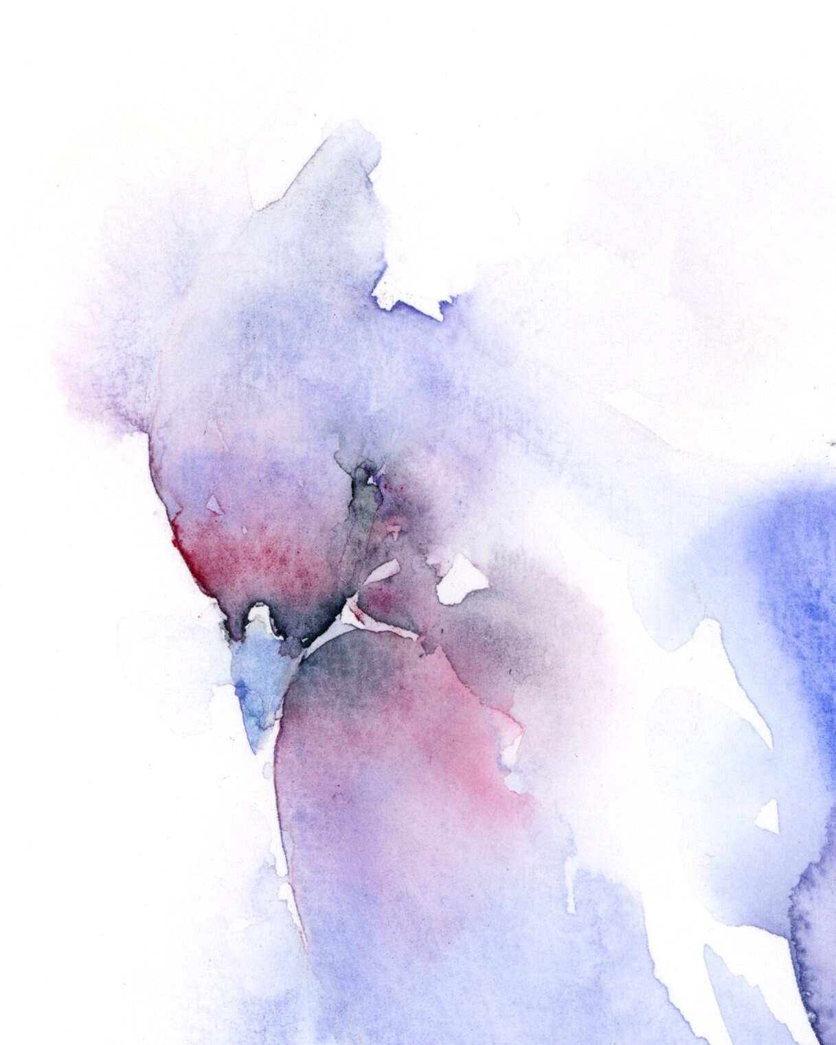 Watercolor Bird Painting Abstract Bird Art Bird Wall Art - Etsy Israel