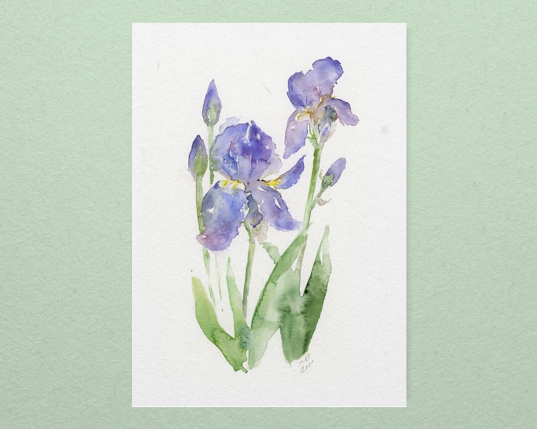 Irises Art, Botanical Art, Botanical Home Decor, Plant Lover Gift ...