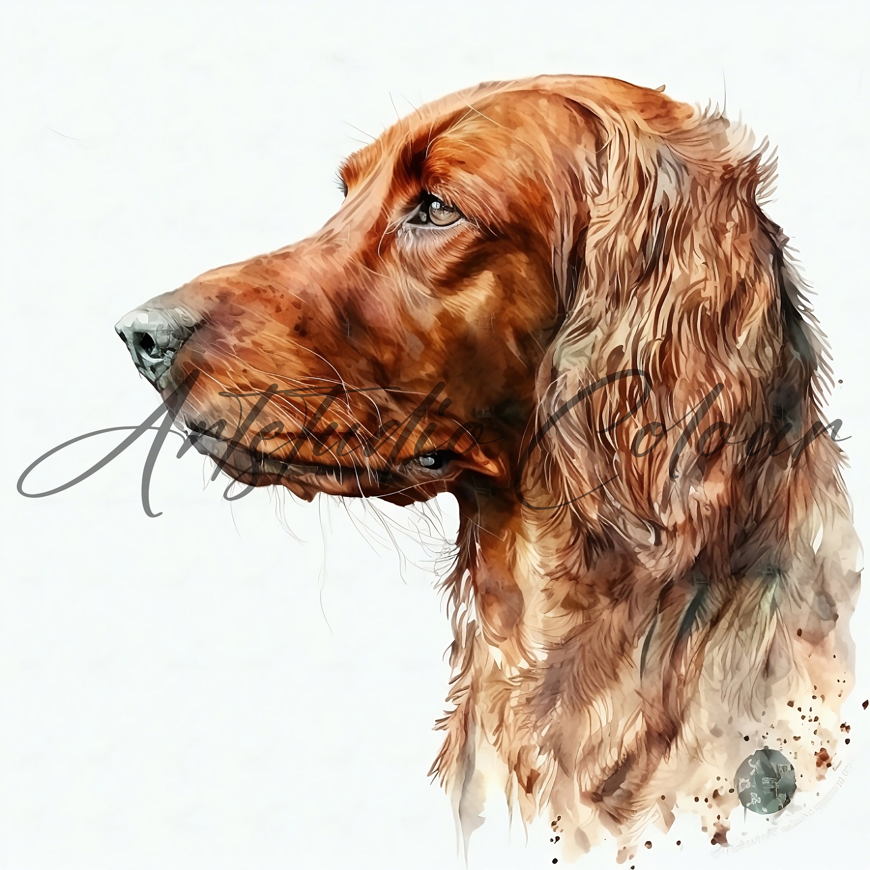 Irish Setter Clipart, 10 High Quality Jpgs, Digital Download ...