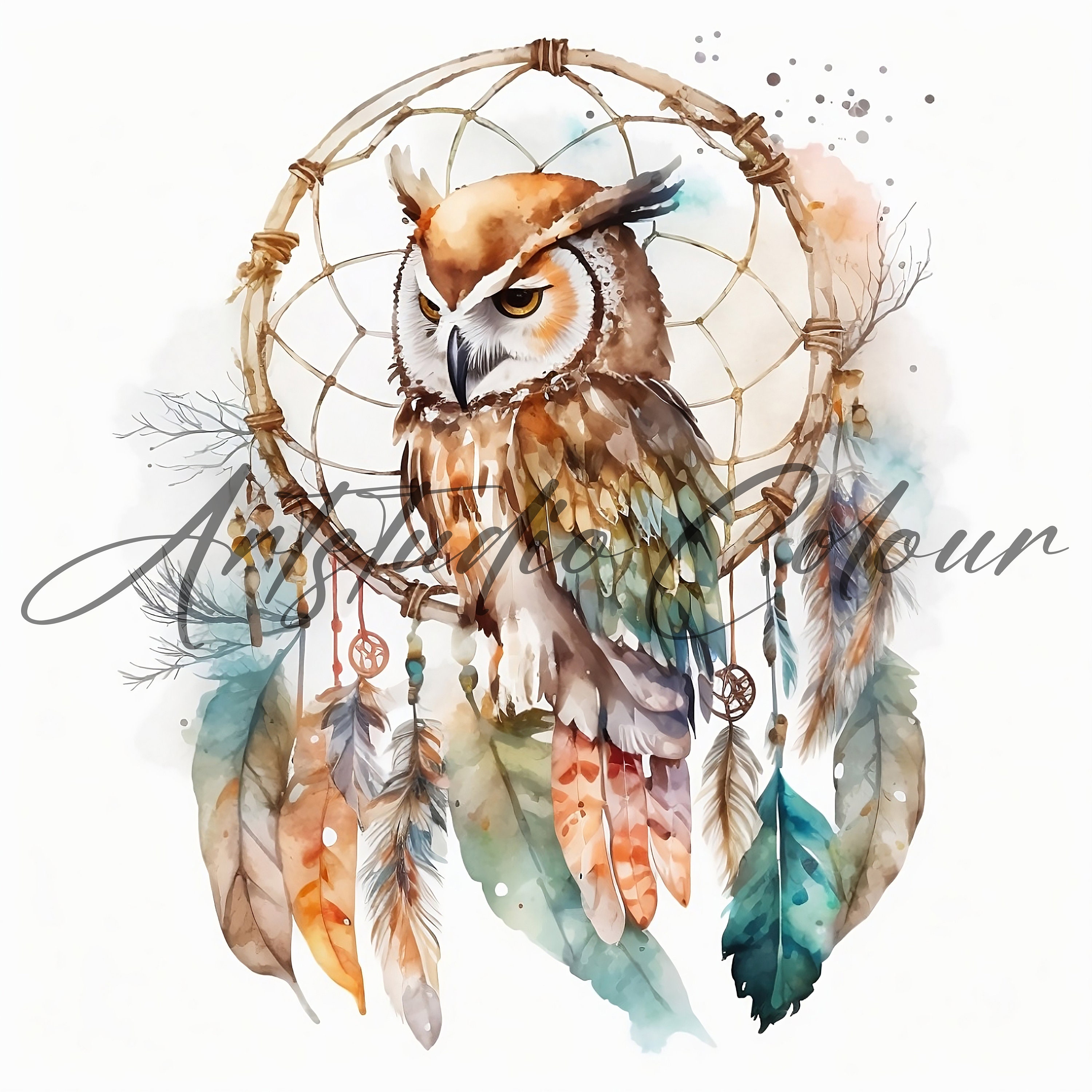 Boho Owl Clipart 10 High Quality Jpgs Digital Download - Etsy