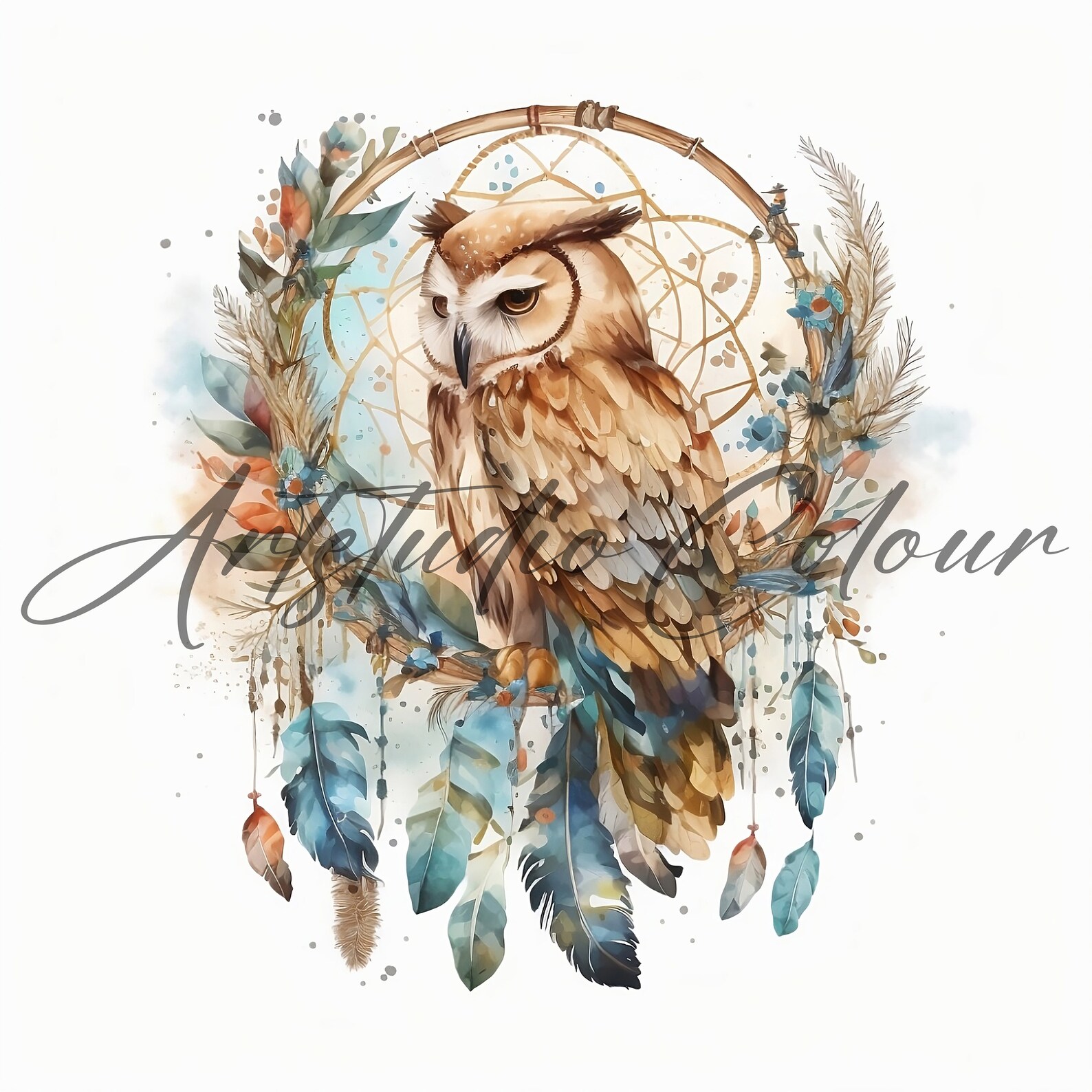 Boho Owl Clipart, 10 High Quality Jpgs, Digital Download, Watercolor ...