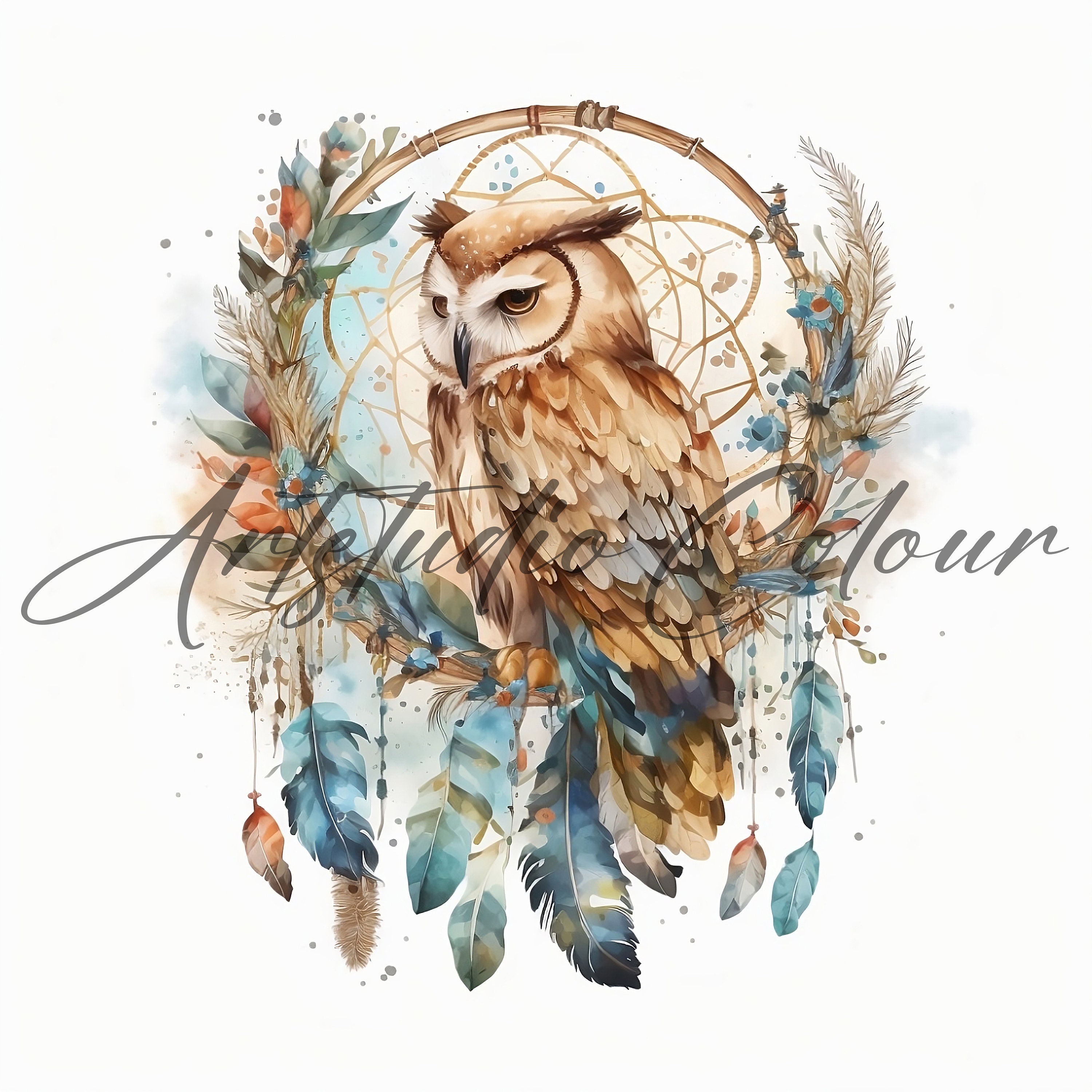 Boho Owl Clipart, 10 High Quality Jpgs, Digital Download, Watercolor ...