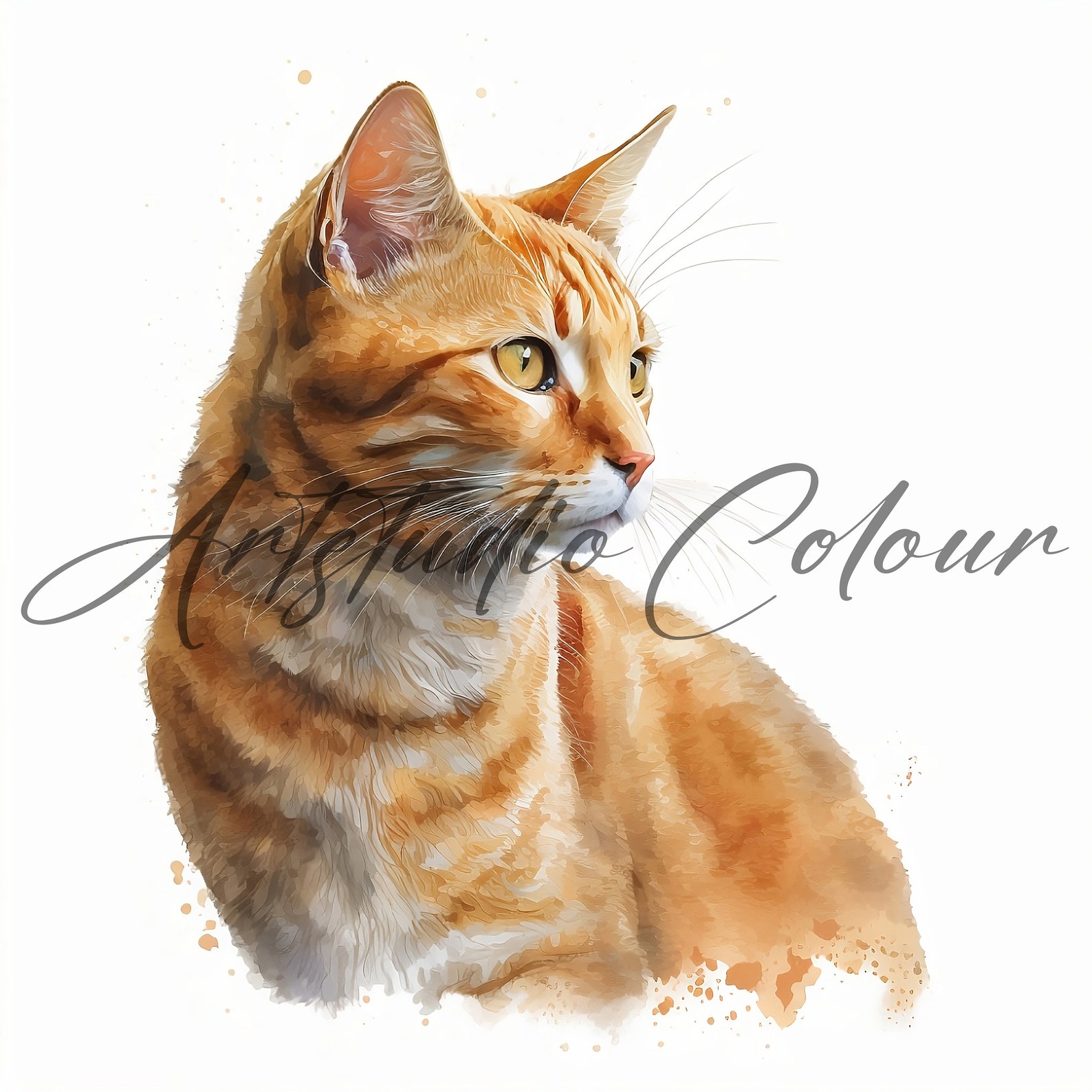 Ginger Tabby Cat Clipart, 10 High Quality Jpgs, Digital Download ...