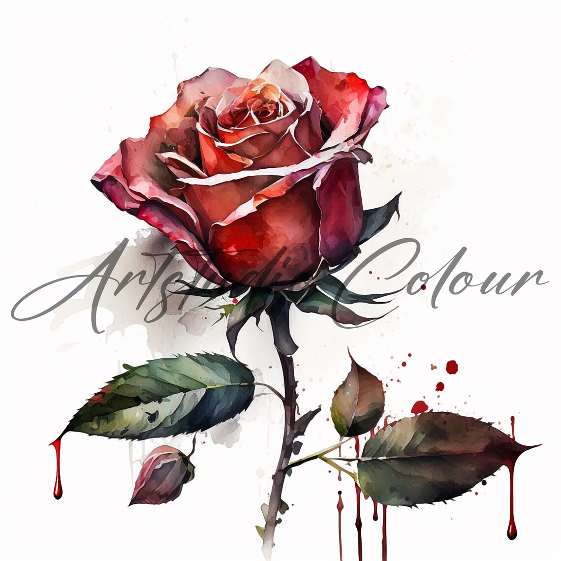 Red Rose Clipart, 10 High Quality Jpgs, Digital Download, Watercolor ...