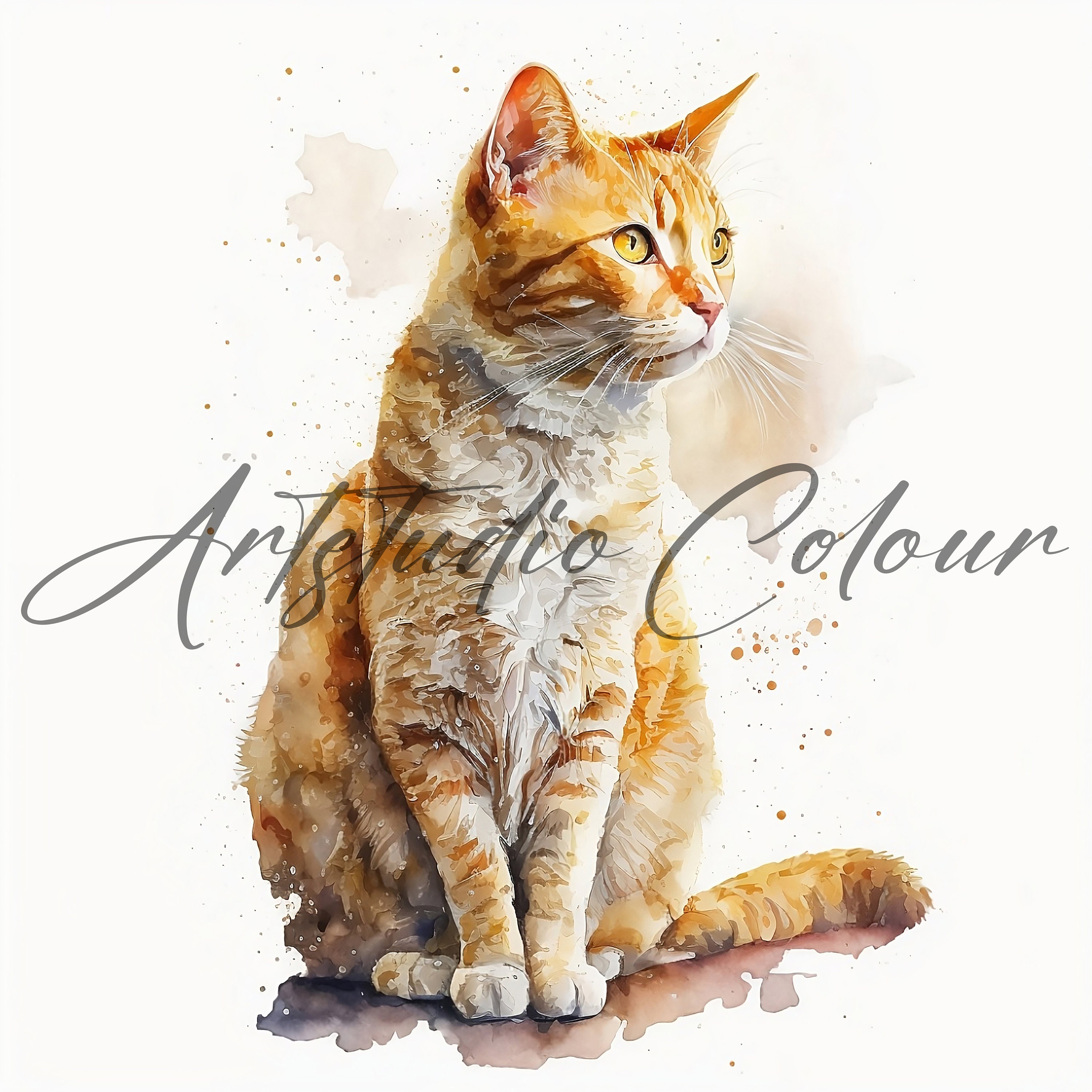 Ginger Tabby Cat Clipart, 10 High Quality Jpgs, Digital Download ...