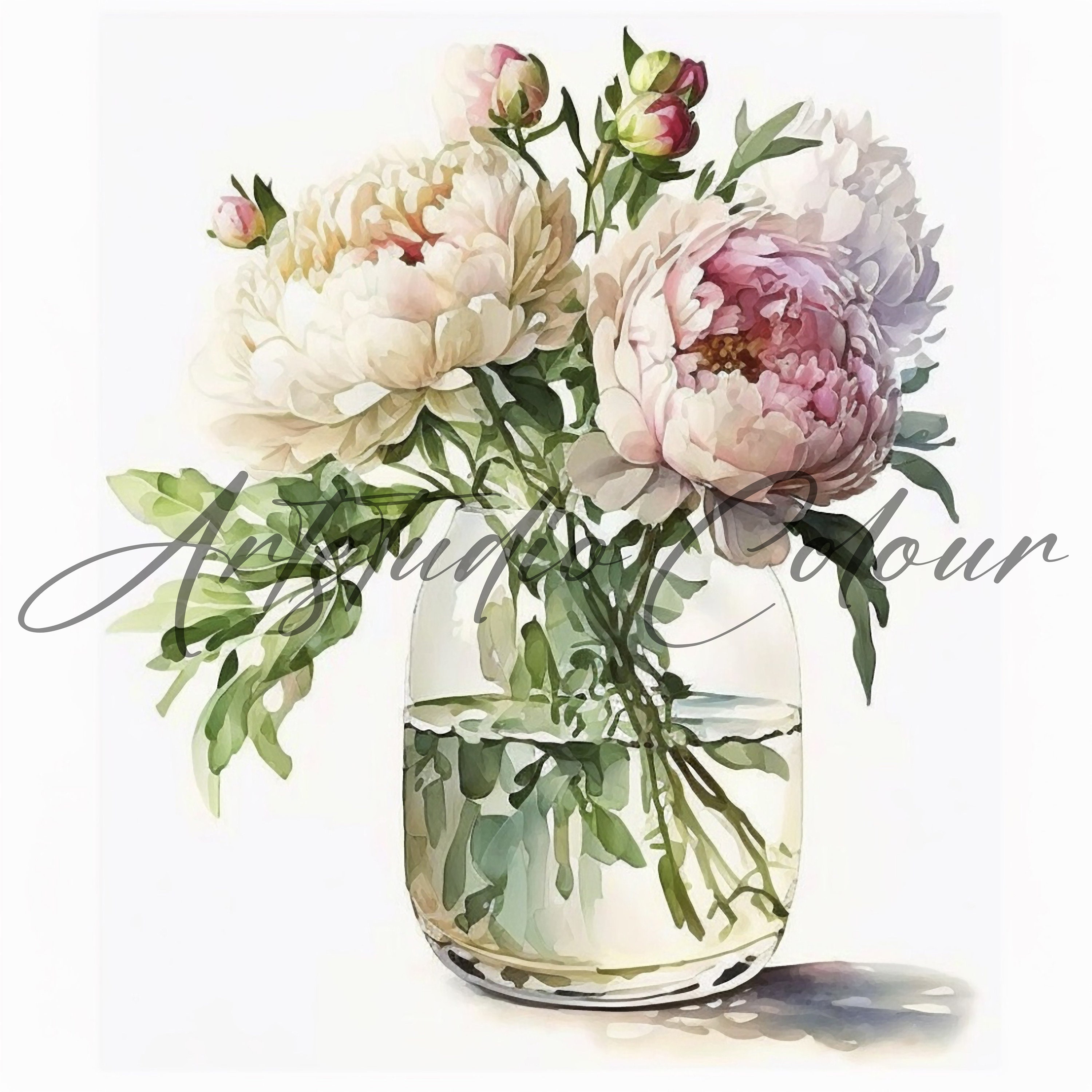 Vase of Piones Clipart, 10 High Quality Jpgs, Digital Download ...