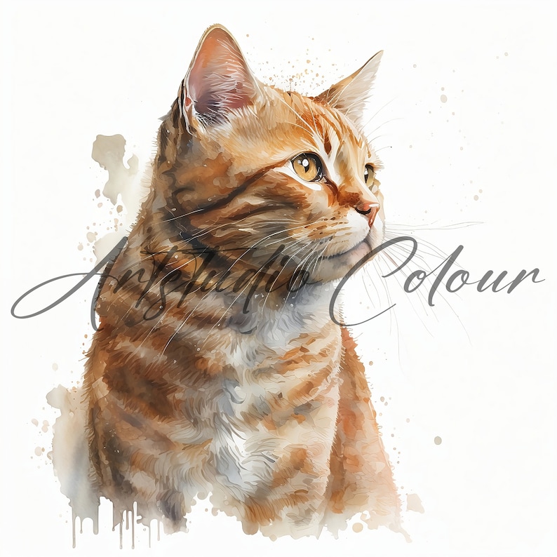 Ginger Tabby Cat Clipart, 10 High Quality Jpgs, Digital Download ...